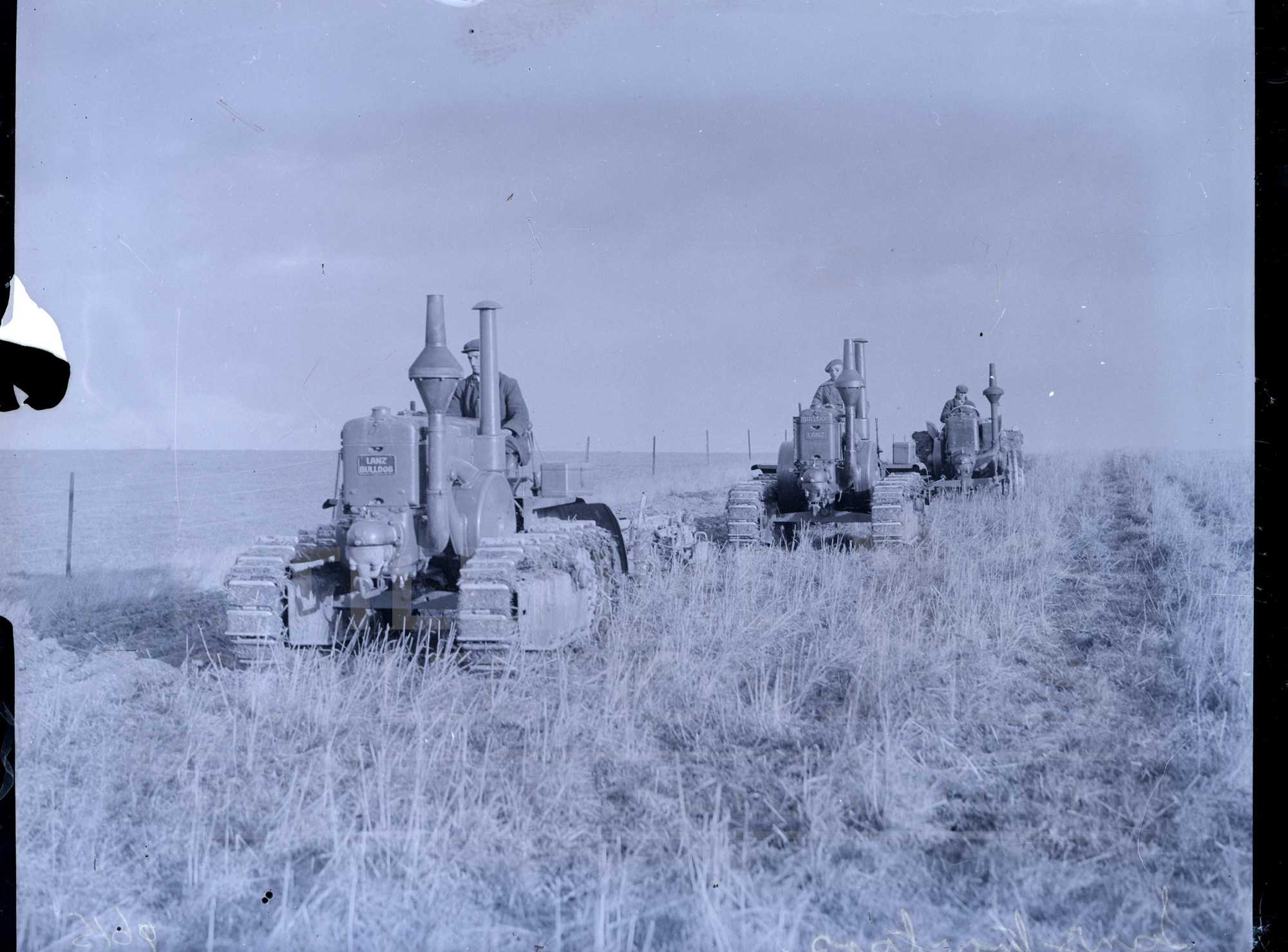 farm animals tractors ploughing | The Stilltime Collection