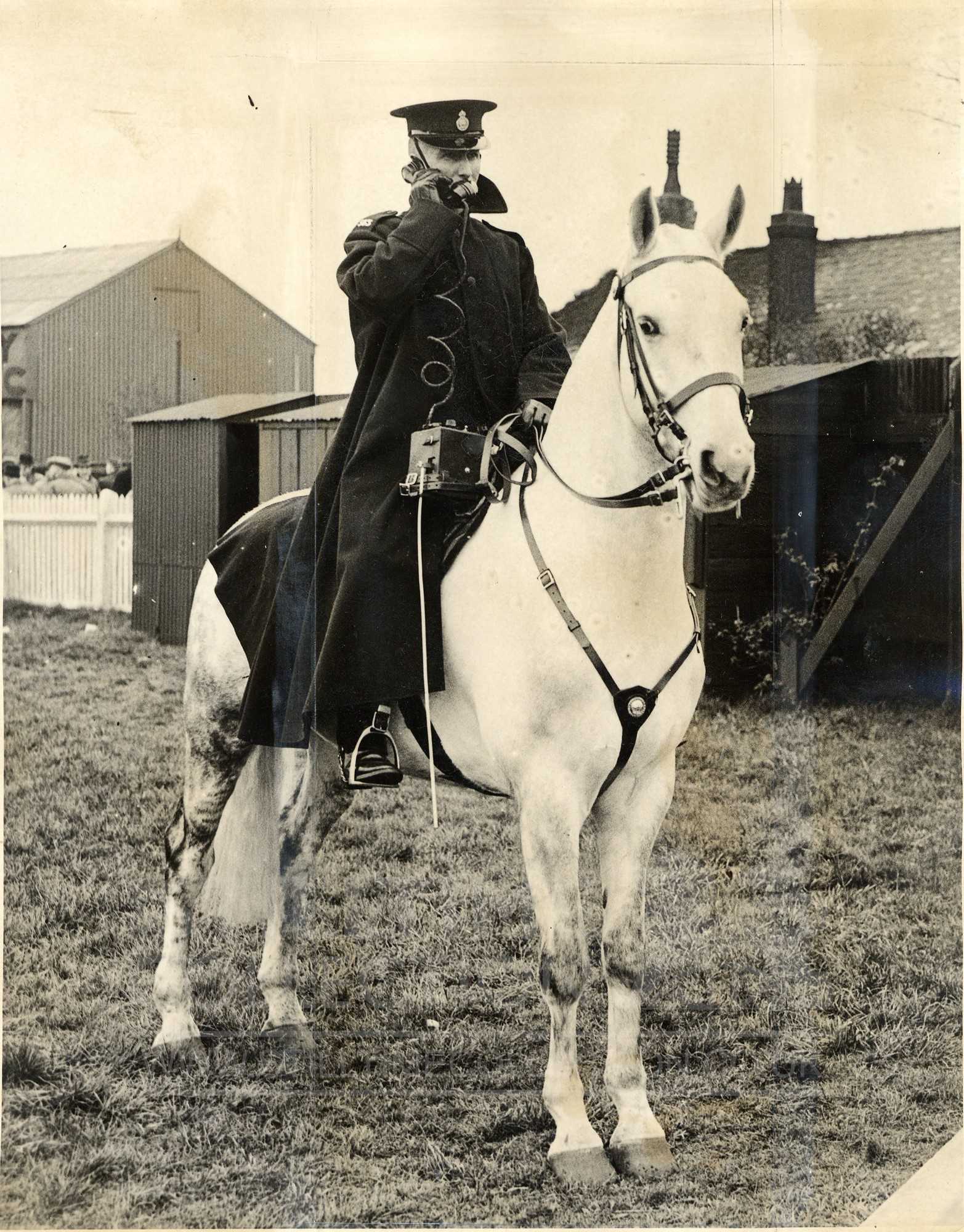 radio police plod policeman copper cop mobile horse equine liverpool ...