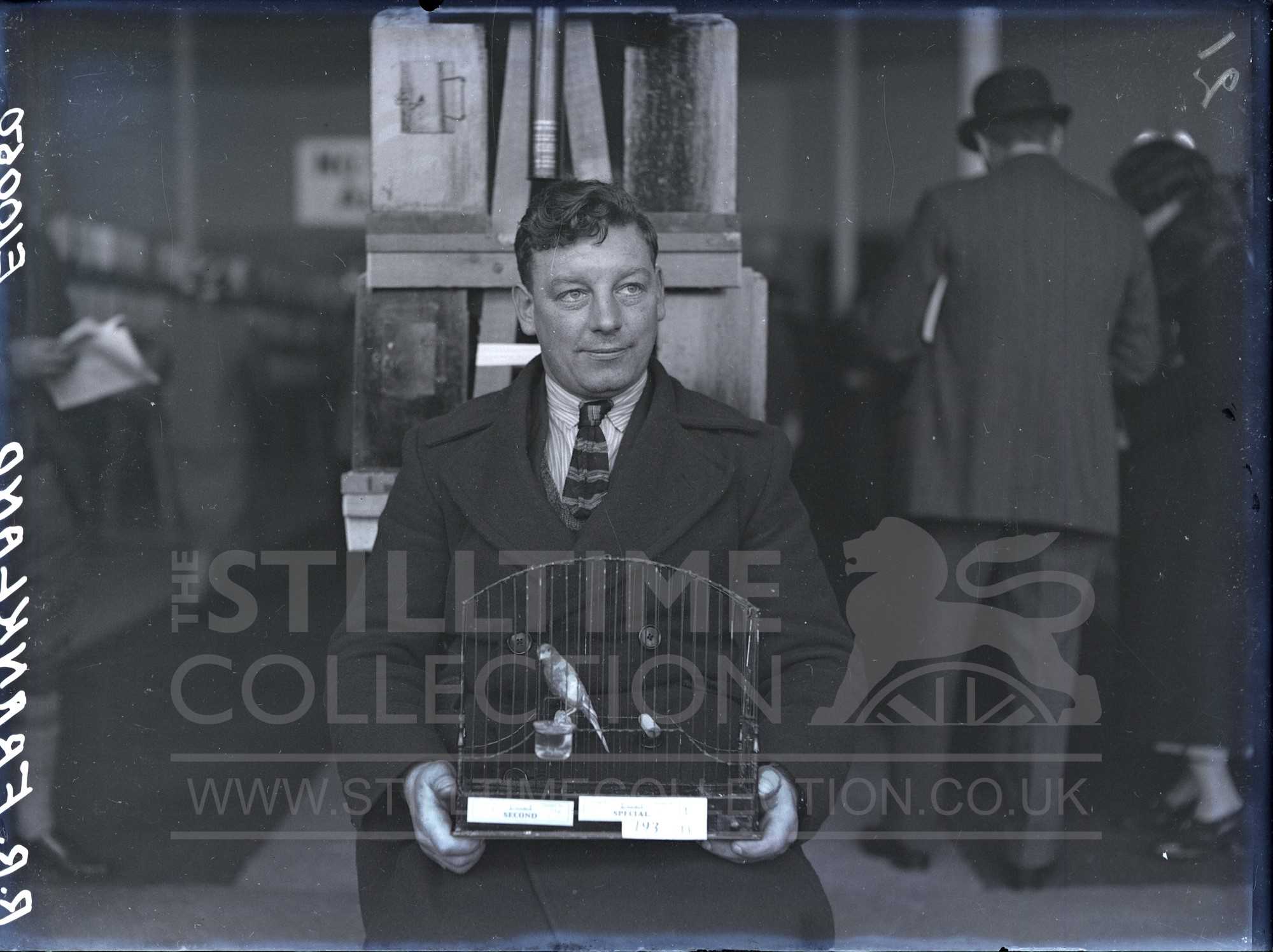 twitchers bird | The Stilltime Collection