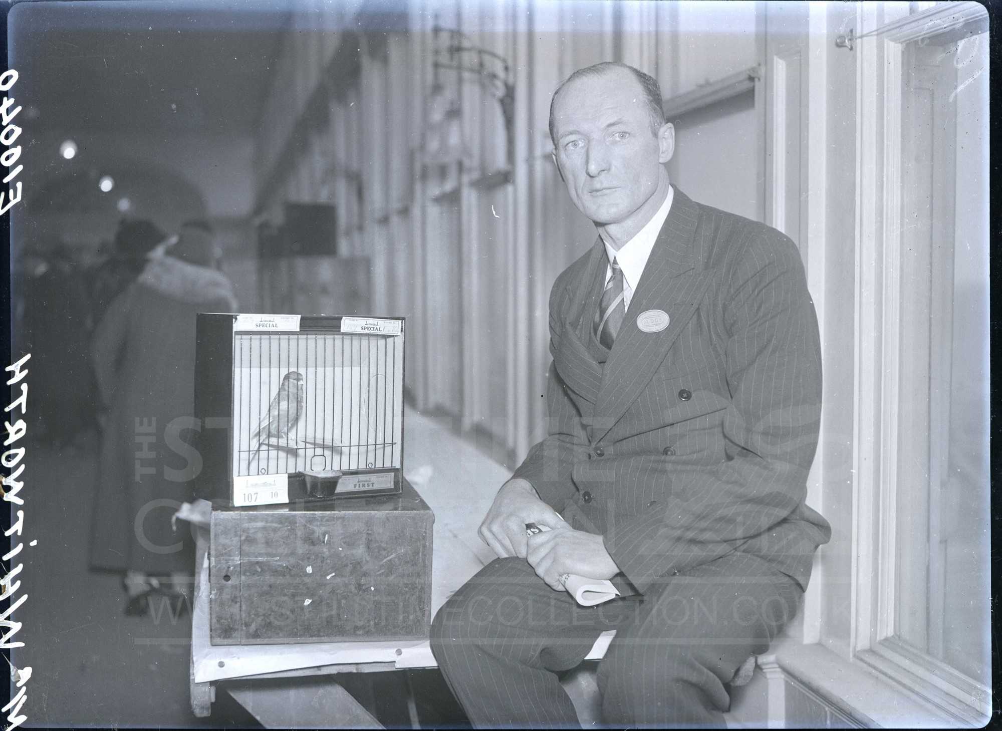 twitchers bird | The Stilltime Collection