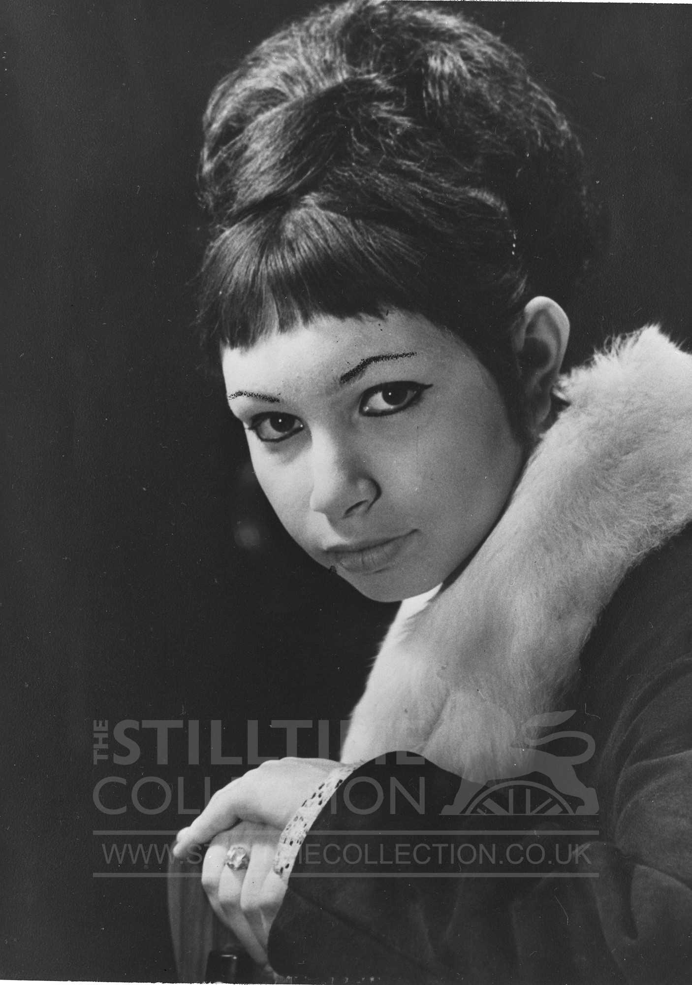 1960s glamour girl lady woman female young model cheese | The Stilltime ...