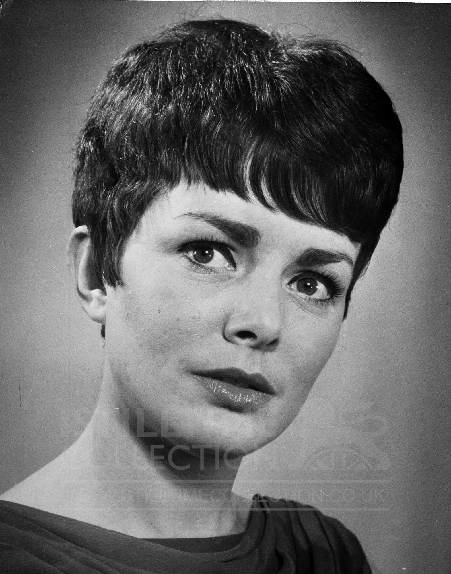 1960s glamour girl lady woman female young model cheese | The Stilltime ...