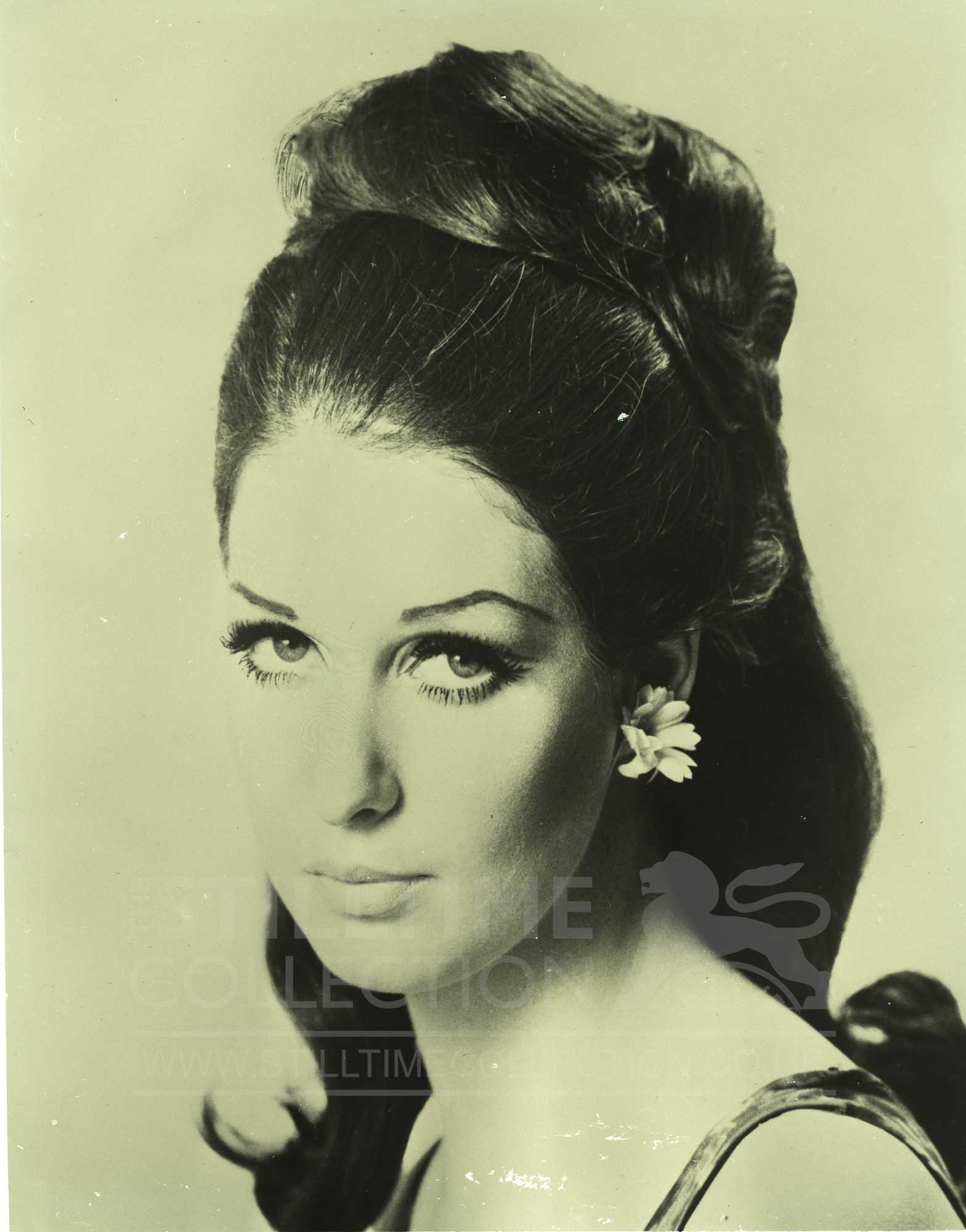 1960s glamour girl lady woman female young model cheese | The Stilltime ...