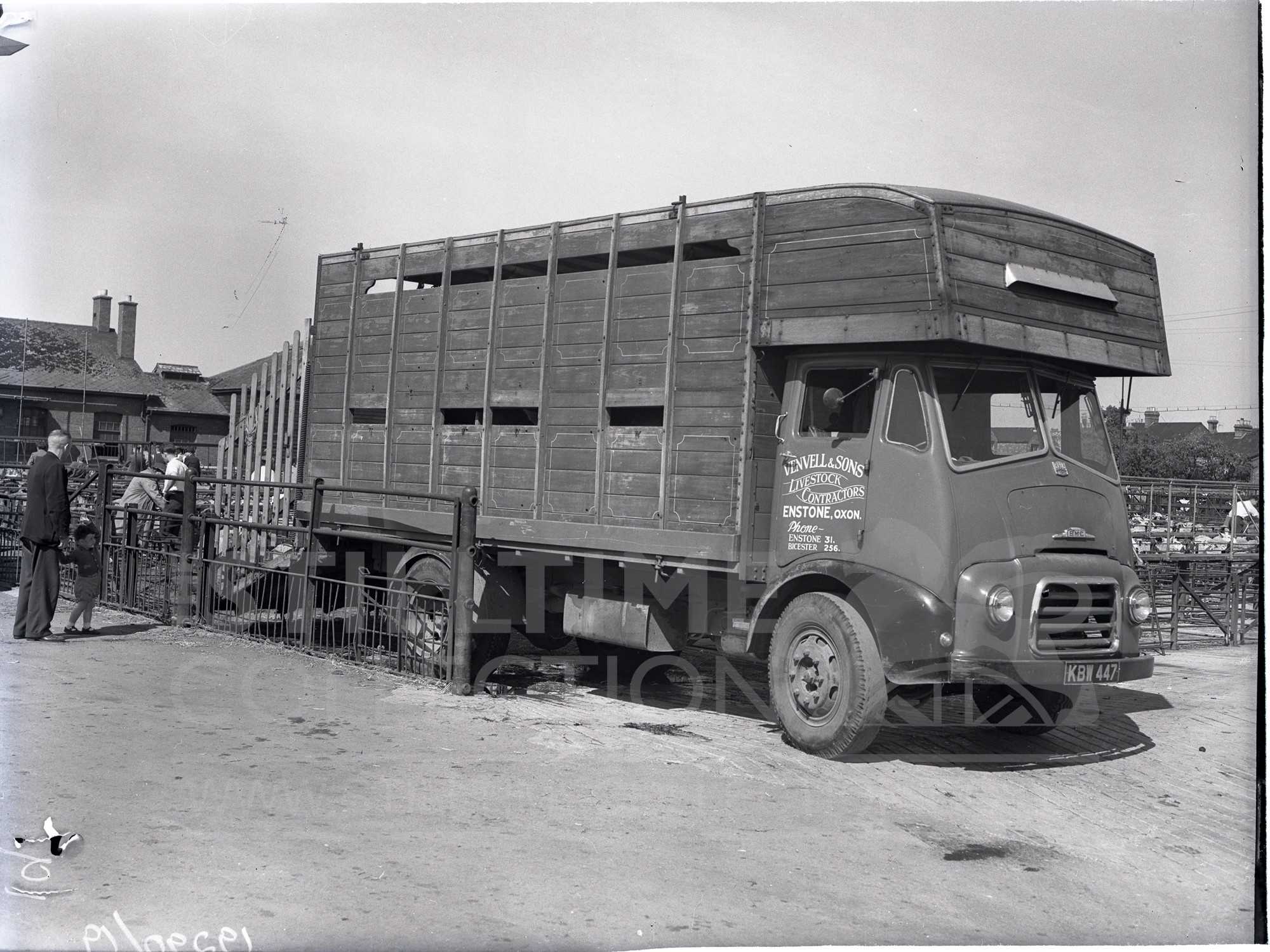 tpt transport truck lorry wagon cattle cows place area scene scenery ...