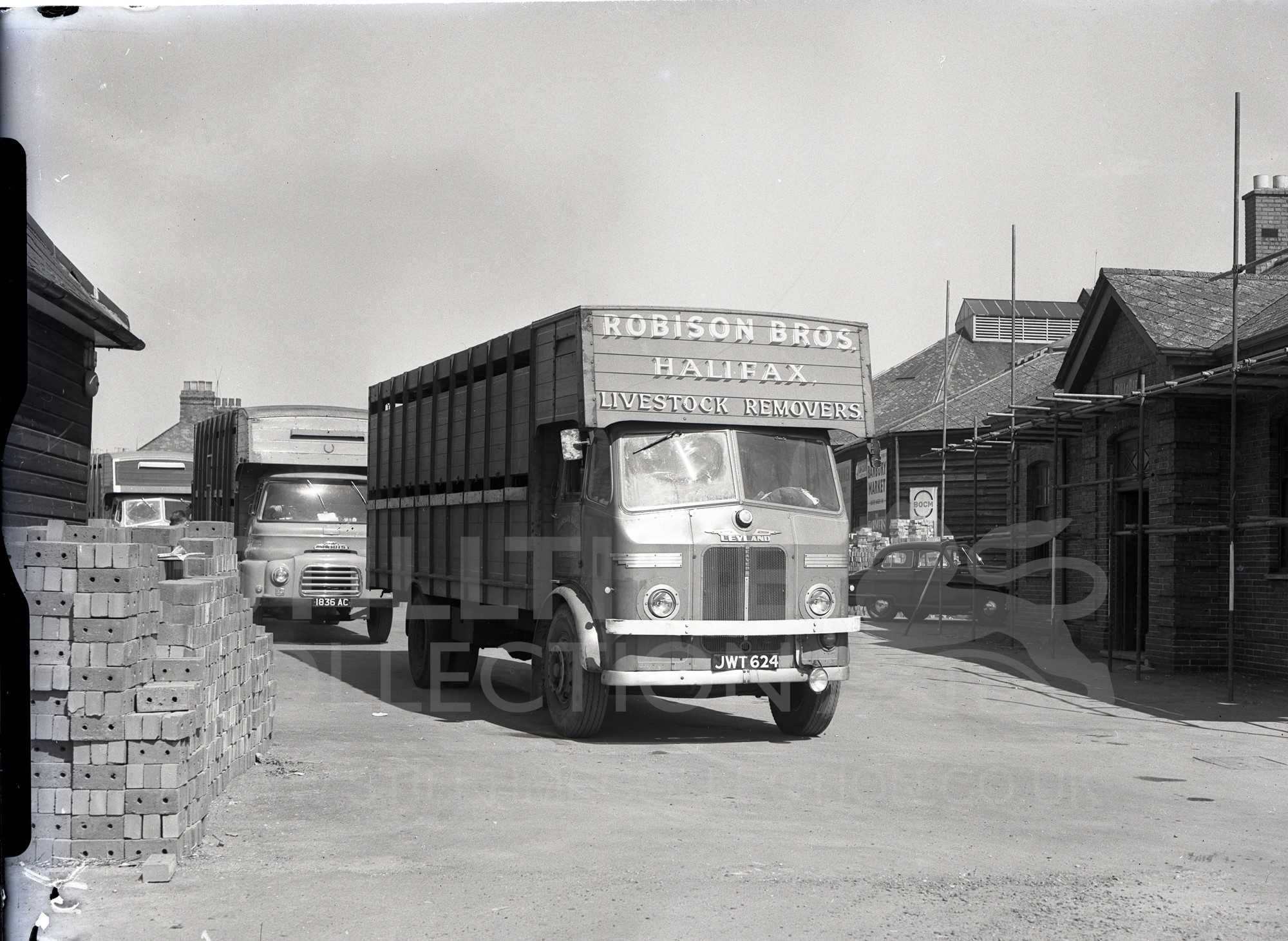 tpt transport truck lorry wagon cattle cows place area scene scenery ...