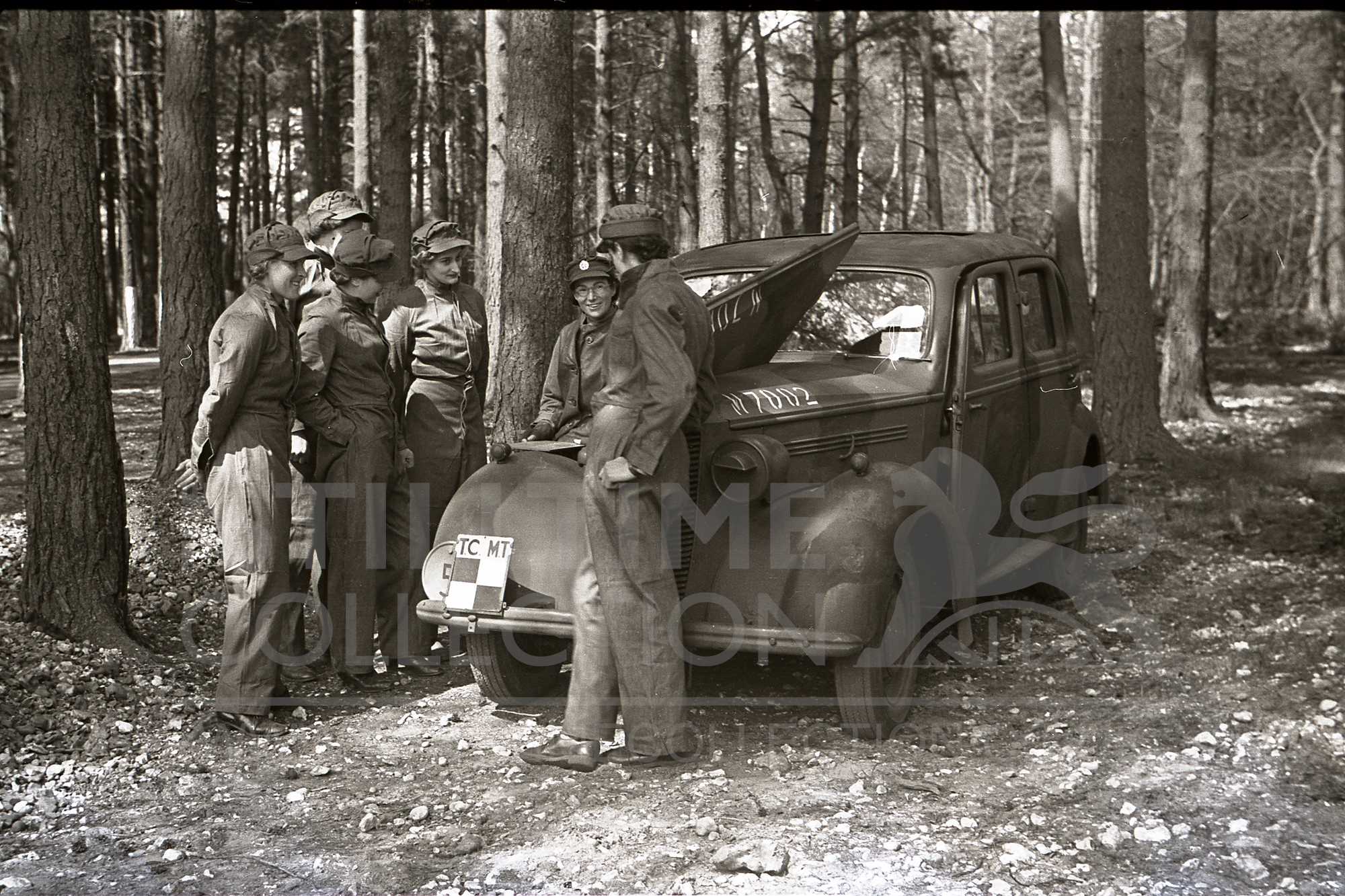 tpt transport truck lorry wagon car automobile motorcar ats training ...