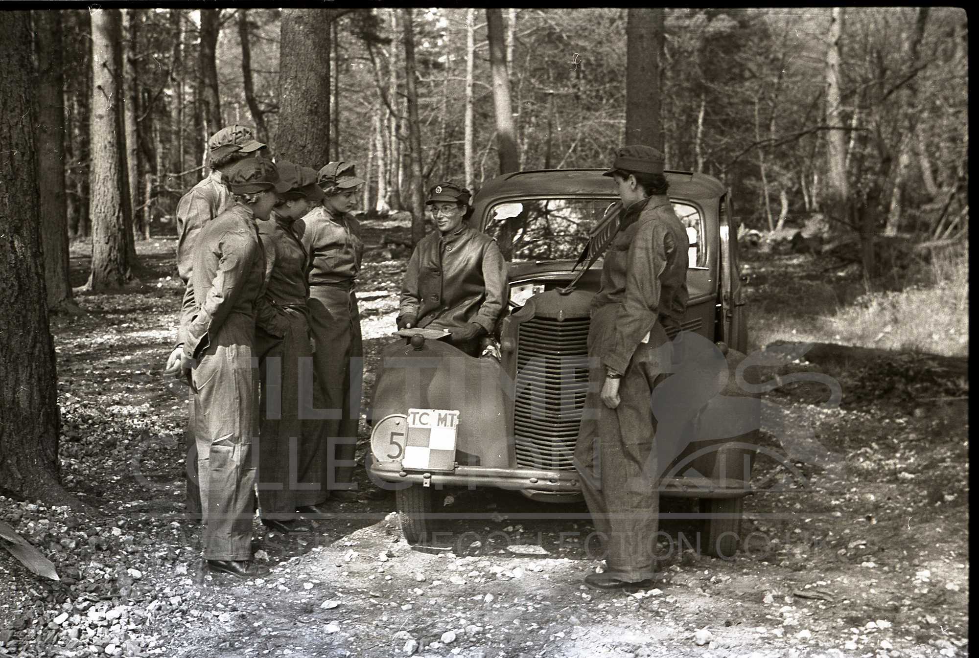 tpt transport truck lorry wagon car automobile motorcar ats training ...