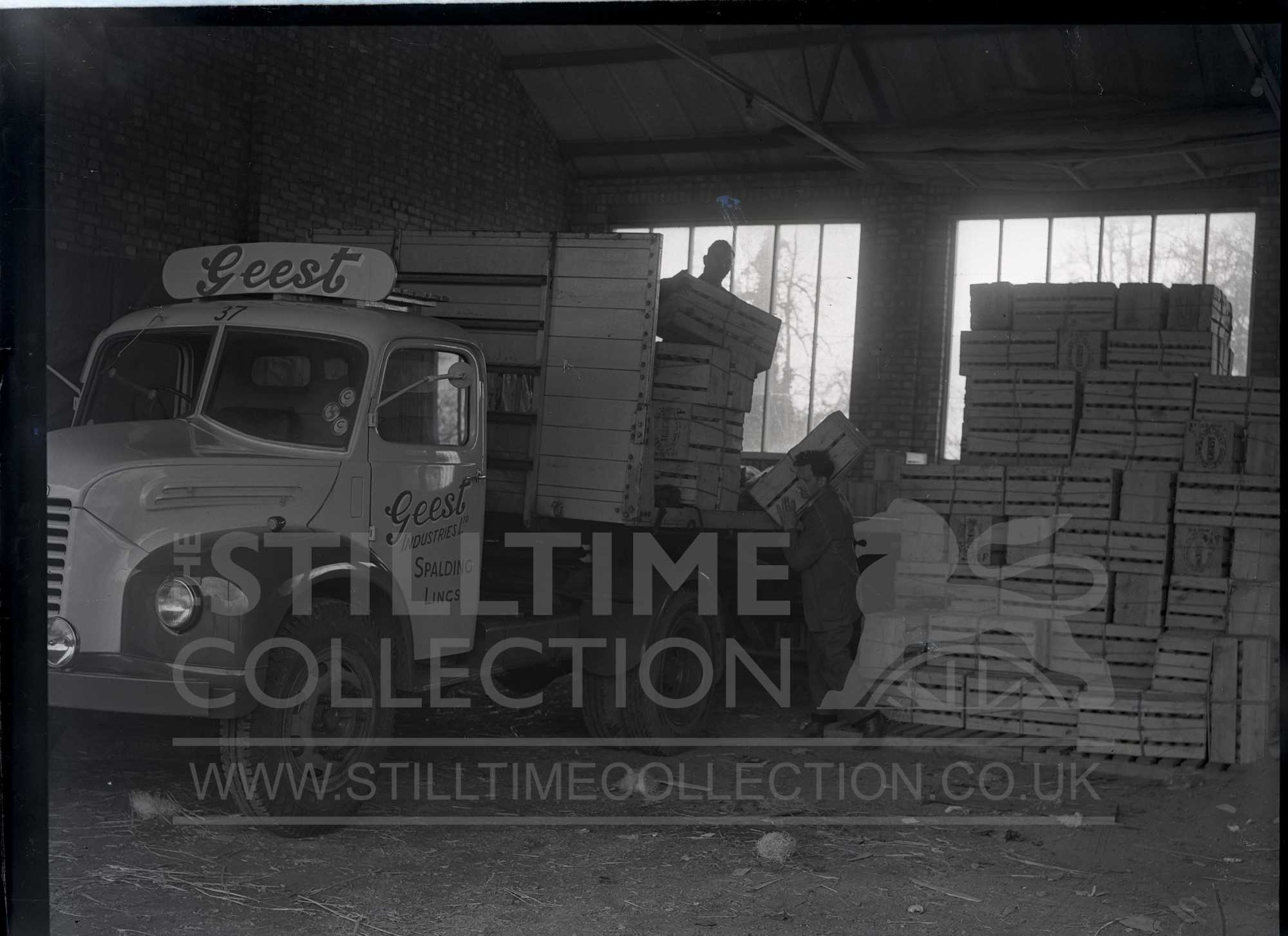 tpt transport truck lorry wagon dodge various many coy geest fruit ...