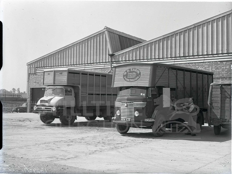 tpt transport truck lorry wagon farm animals cattle cows transportation ...