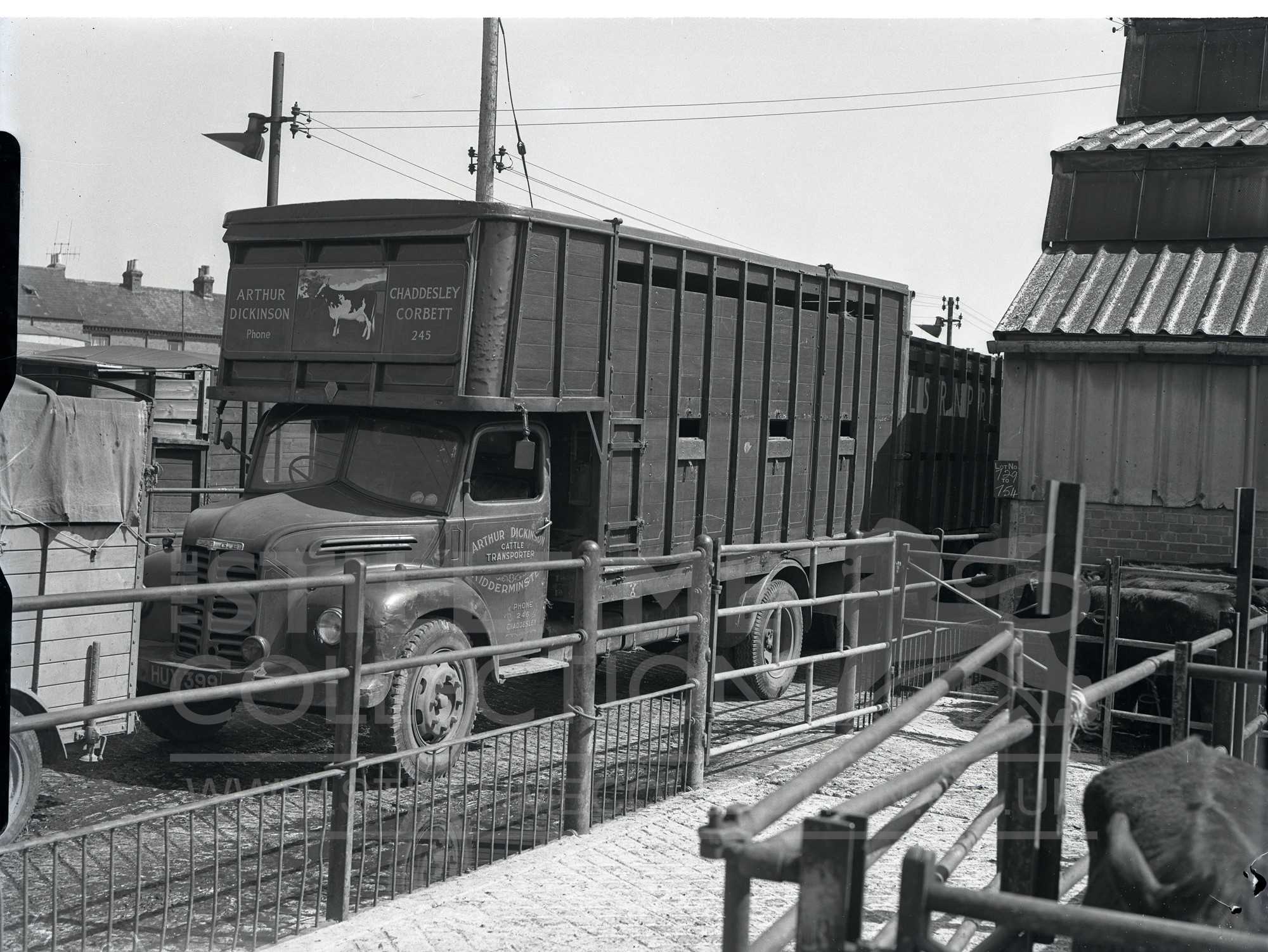 tpt transport truck lorry wagon farm animals cattle cows transportation ...