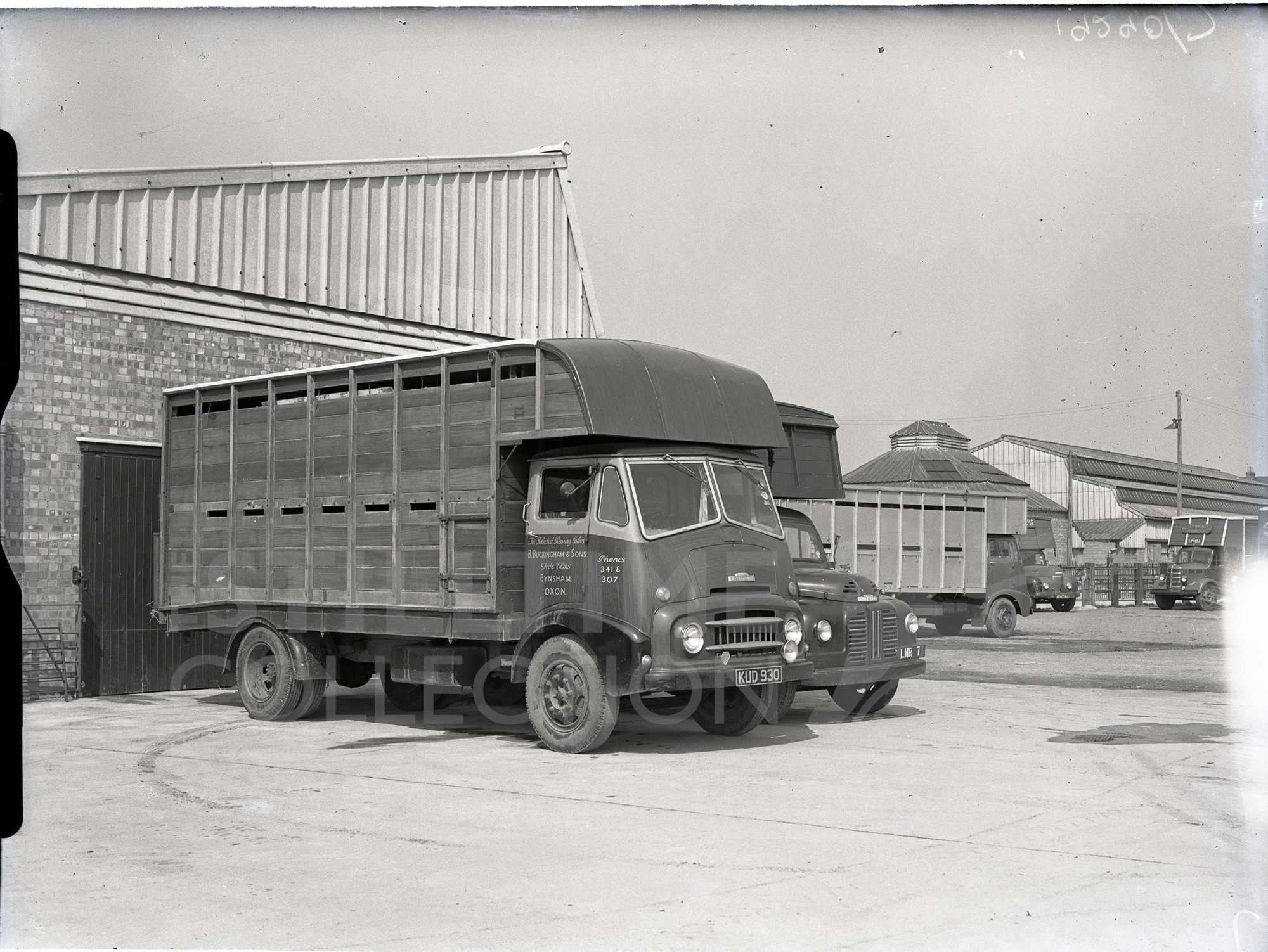 tpt transport truck lorry wagon farm animals cattle cows transportation ...