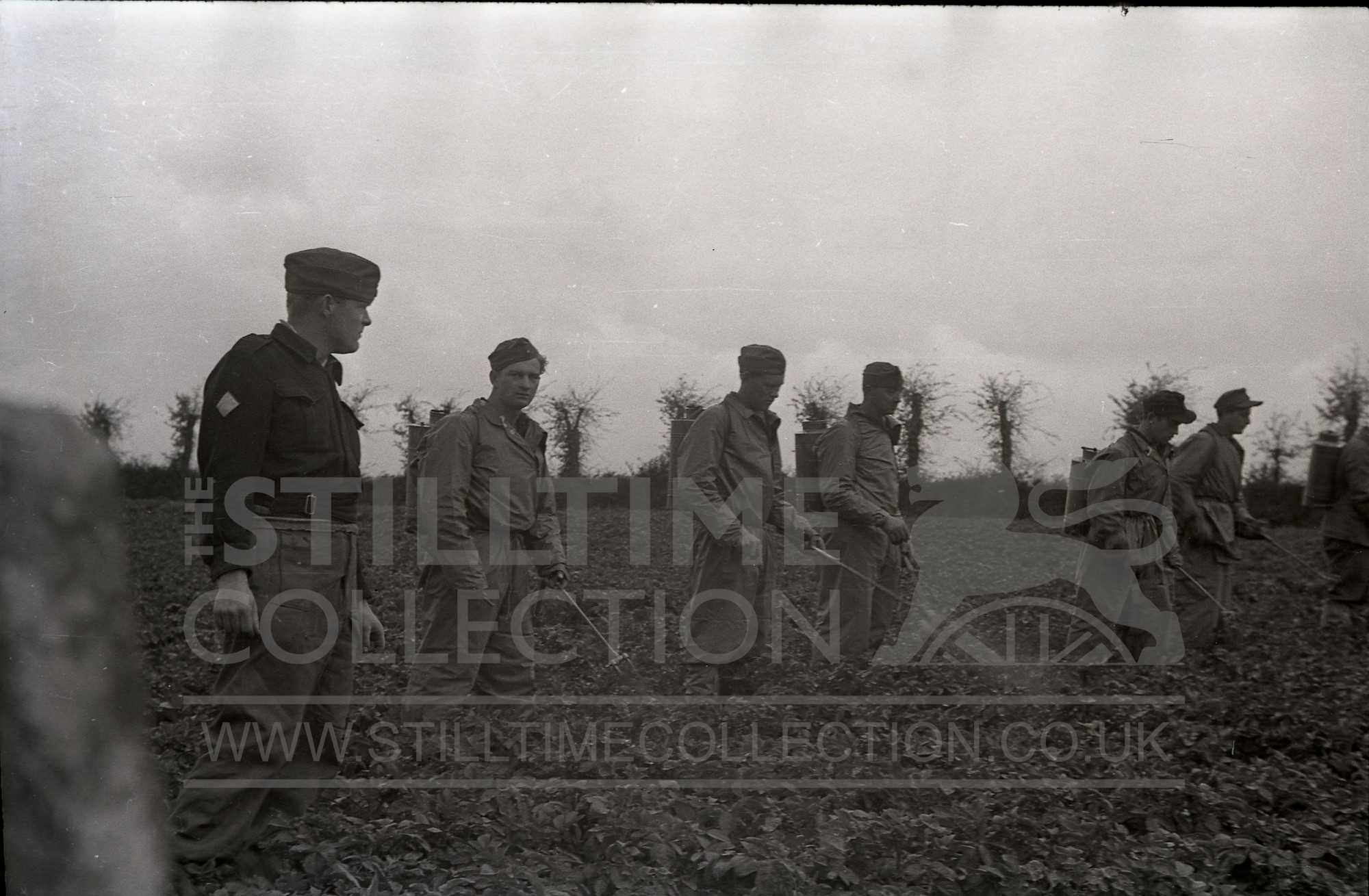 agriculture farm farmer animals crops place area scene scenery ...