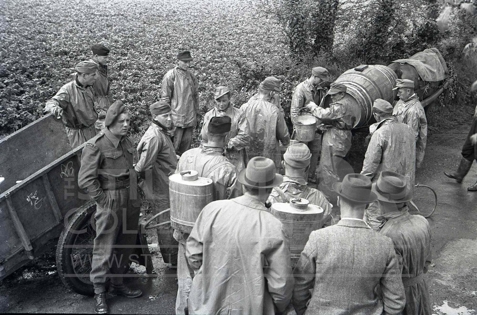 agriculture farm farmer animals crops place area scene scenery ...