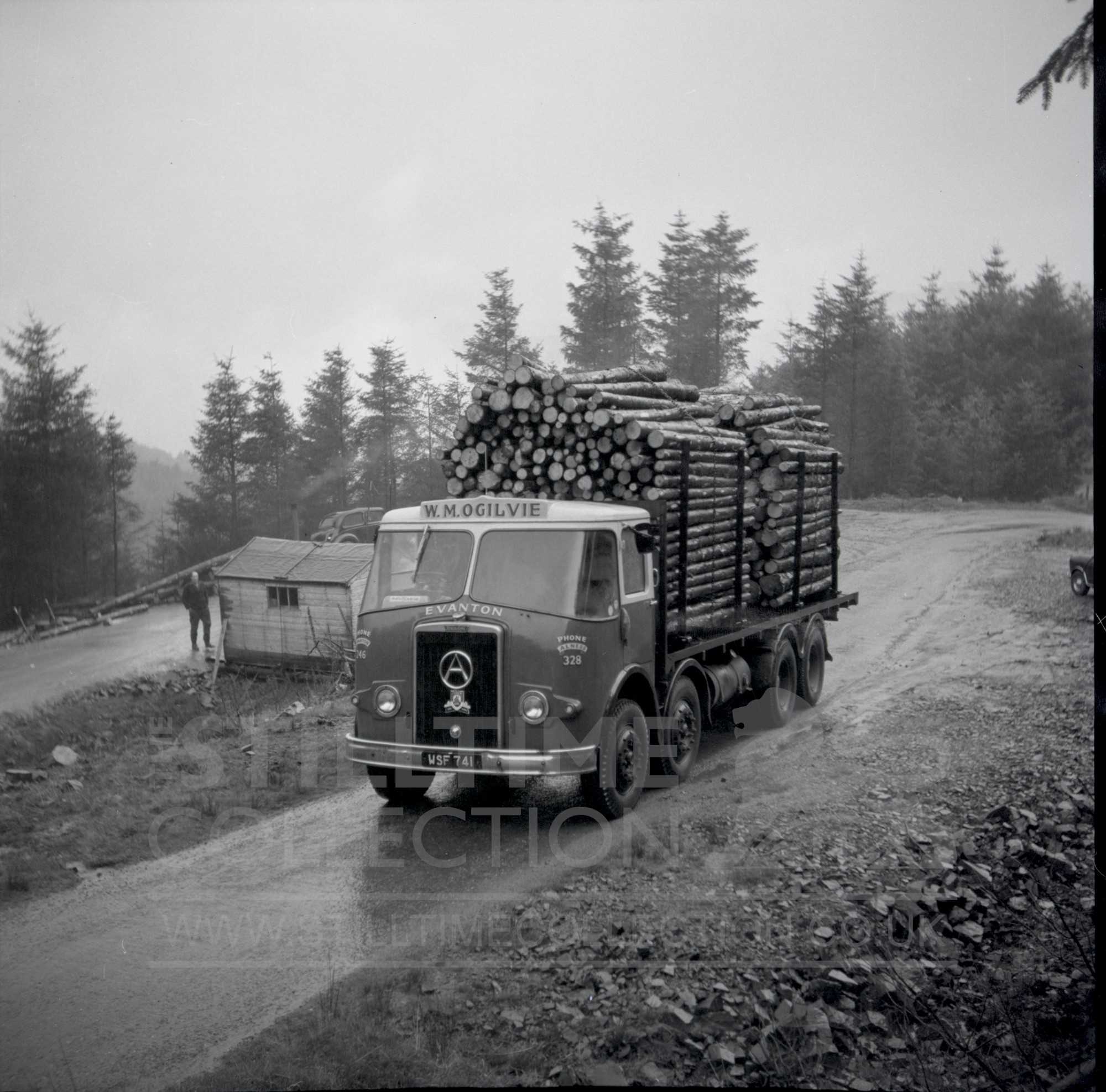 tpt transport truck lorry wagon round timber coy ogilvie's place area ...