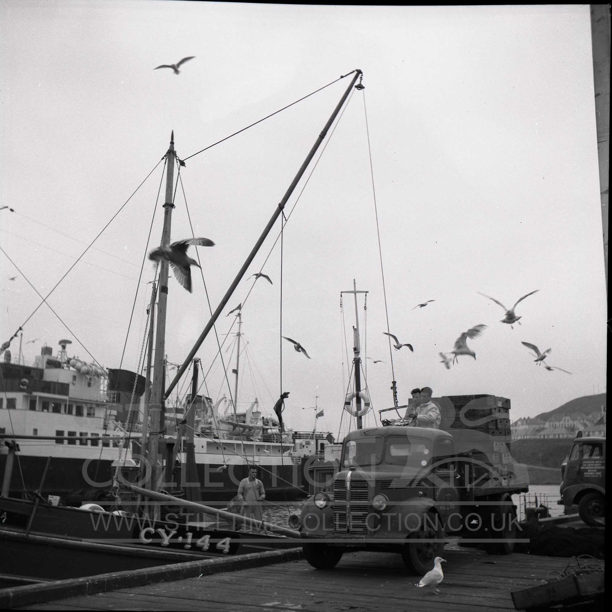 tpt transport truck lorry wagon fish fishing catch transportation ...