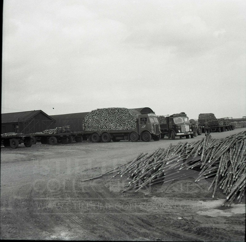 tpt transport truck lorry wagon forestry commission vehicles round ...