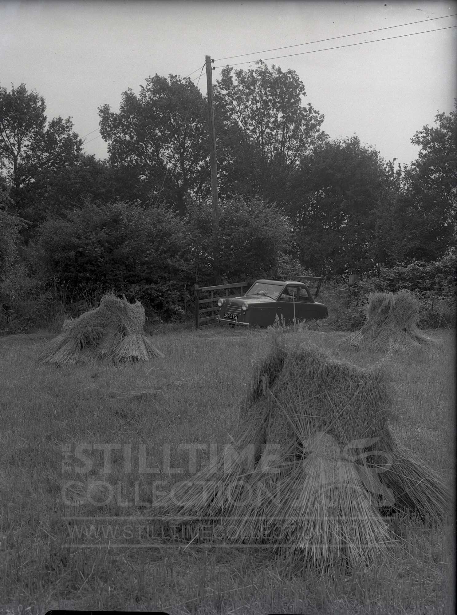 agriculture farming corn stooks | The Stilltime Collection